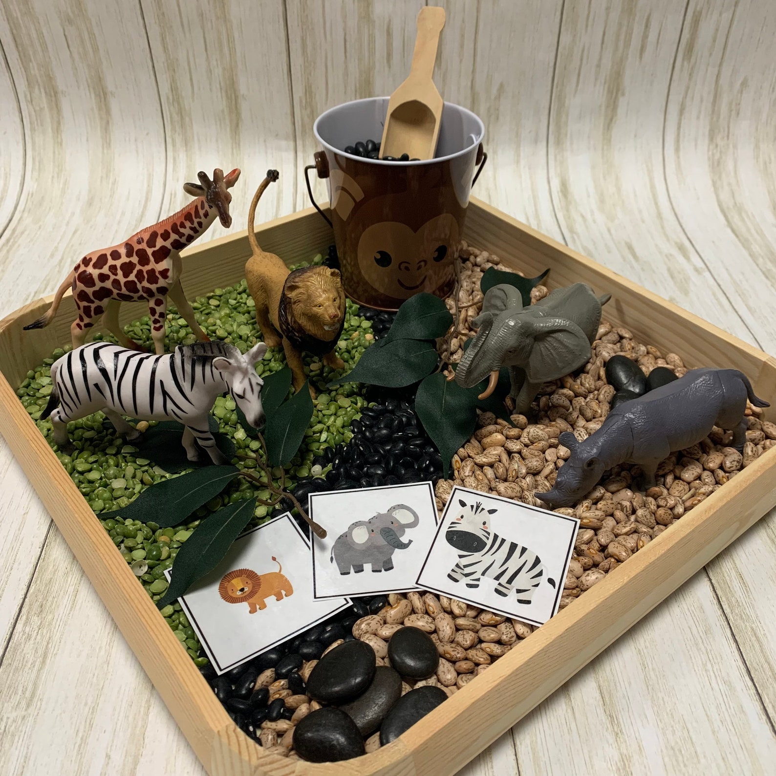 African Safari Animal Sensory Bin Featuring Size Sorting Activity - Etsy
