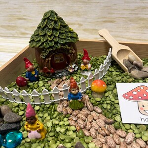 Fairy Gnome Garden Sensory Bin Feat. Feelings Emotions Cards | Summer ...