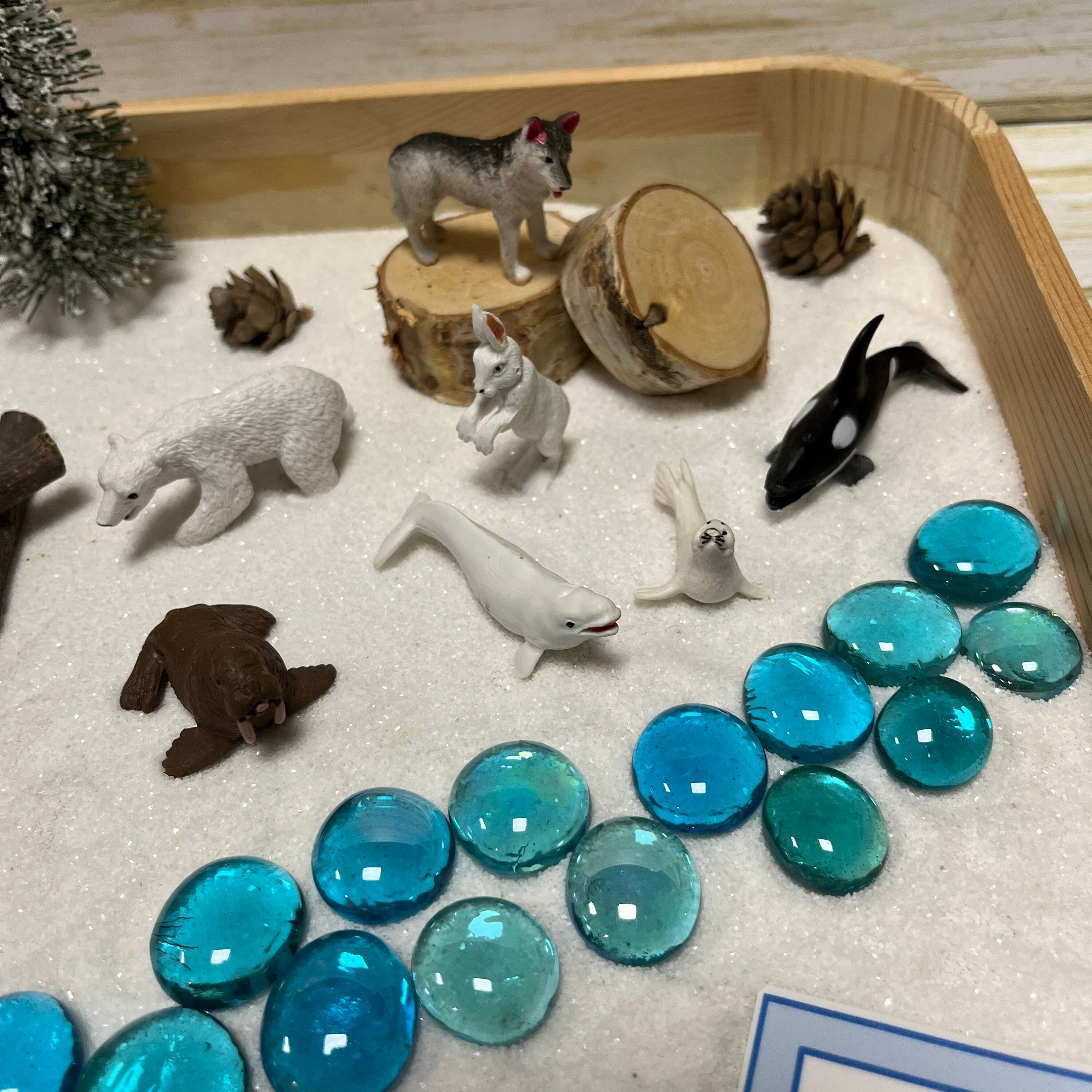 Arctic Animals Winter Sensory Bin - Etsy