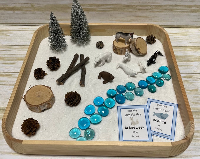 Arctic Animals Winter Sensory Bin - Etsy