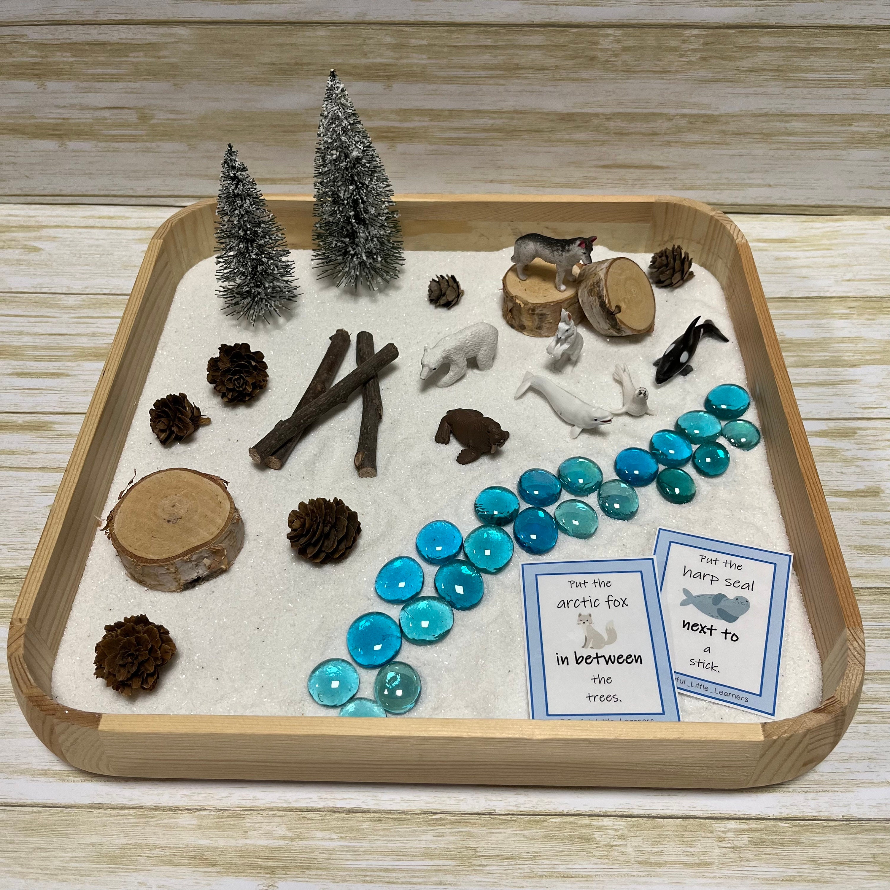 Arctic Animals Winter Sensory Bin - Etsy