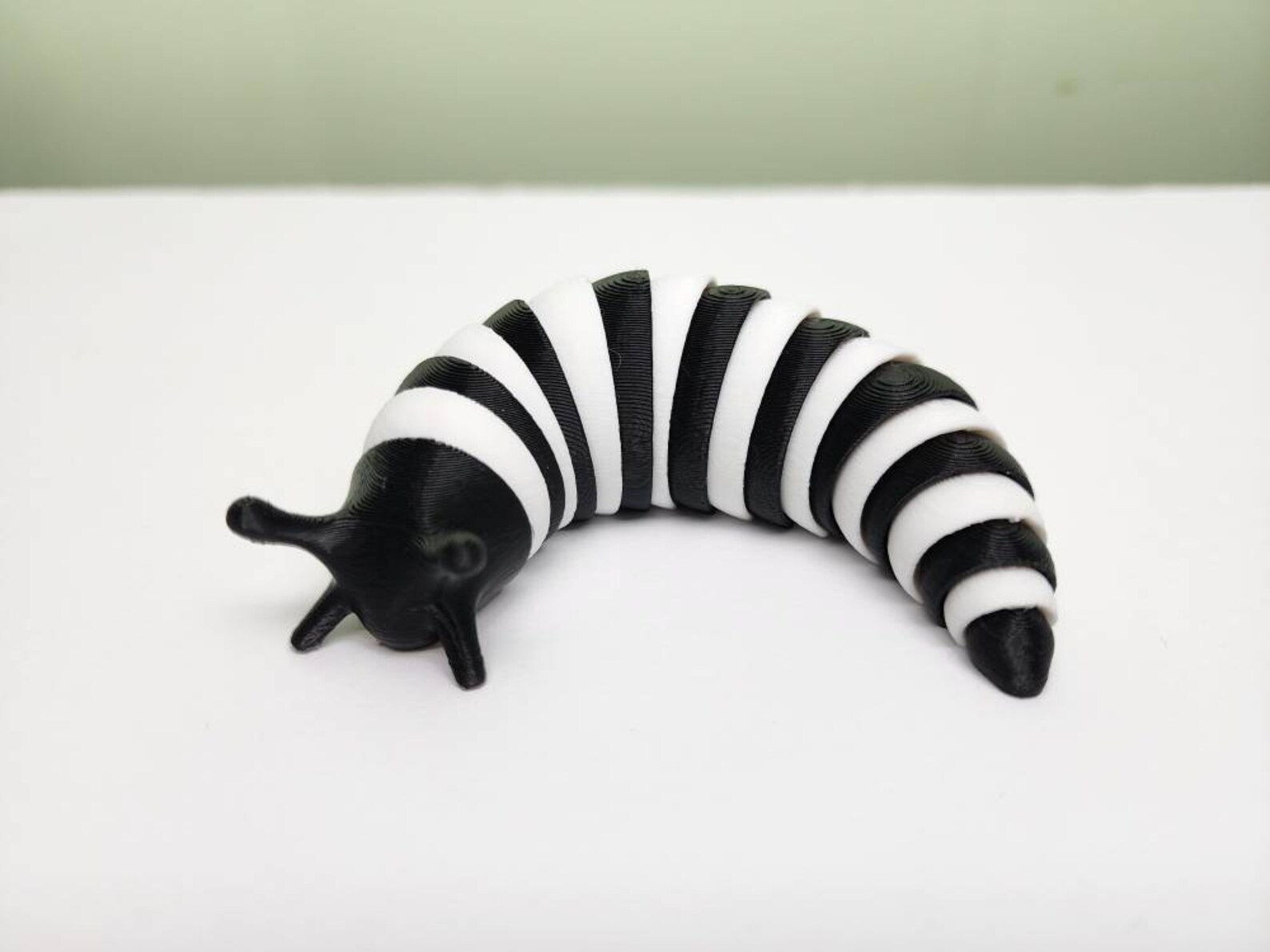 Customizable Zebra Slug, 4.5 Inch 3D Printed Fidget Slug - Etsy