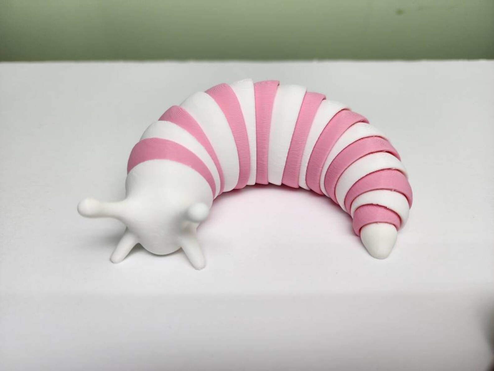 Customizable Zebra Slug, Jumbo 6 Inch 3D Printed Fidget Slug - Etsy
