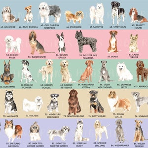 Printable French Bulldog Birthday Cake Card Editable on Corjl Happy ...