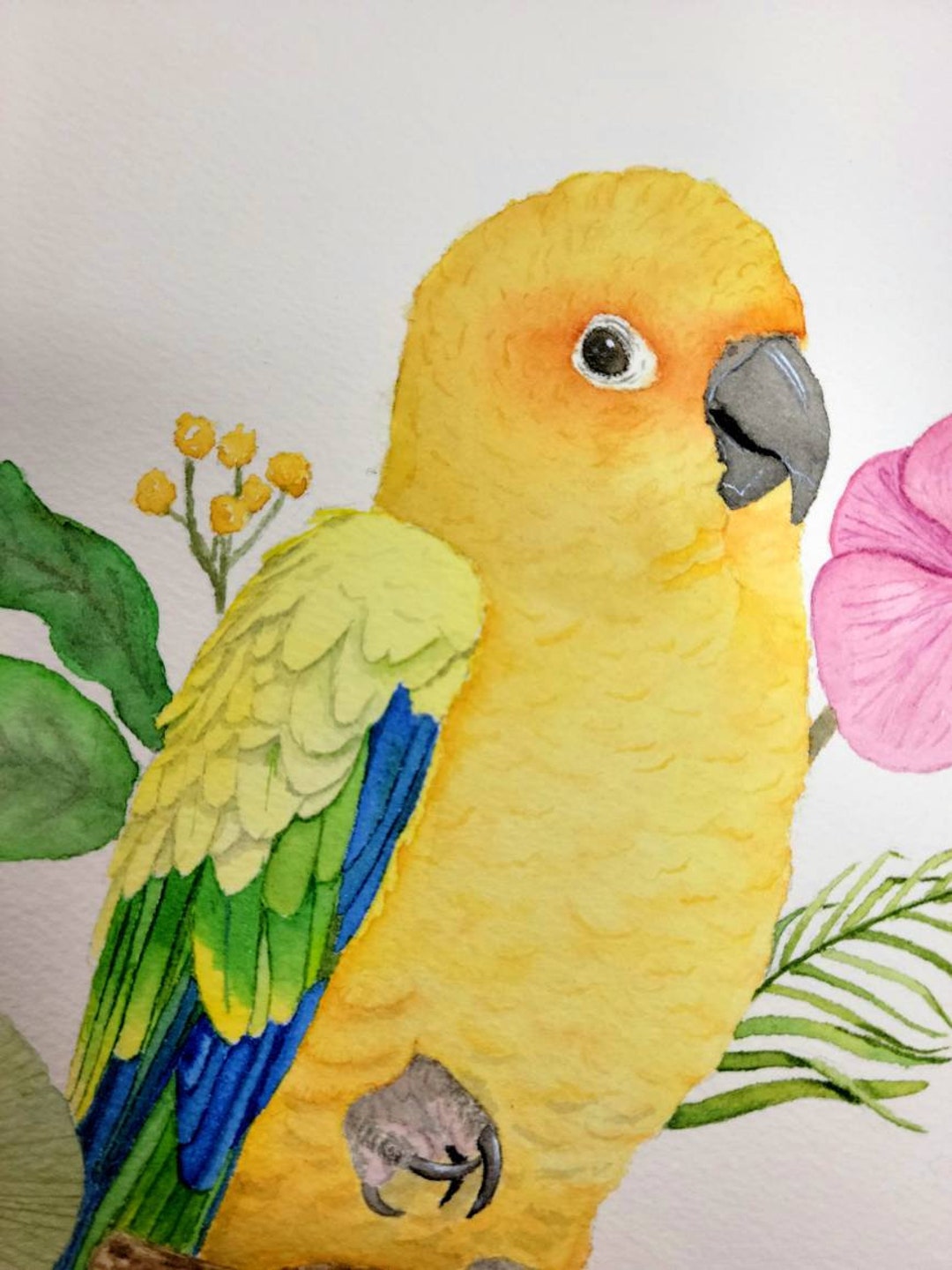 Sunny in Paradise- Watercolor| Original Watercolor 9.25x13| Sun Conure ...
