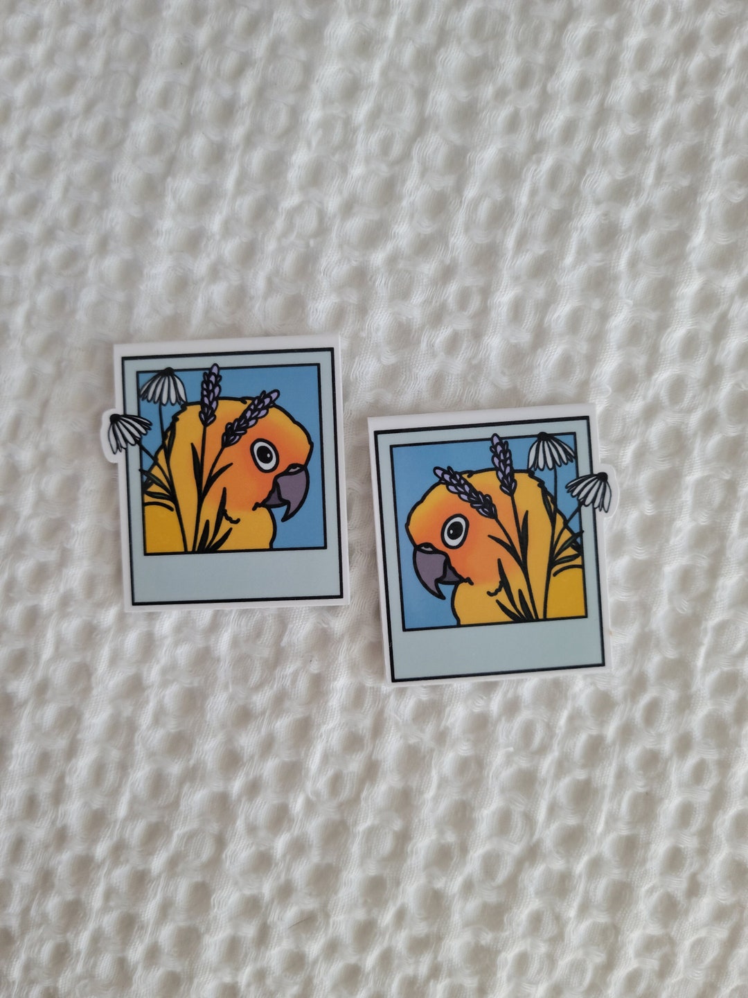 Magnetic Bookmark Sun Conure Polaroid Birdies | Conure | Cockatiel - Etsy