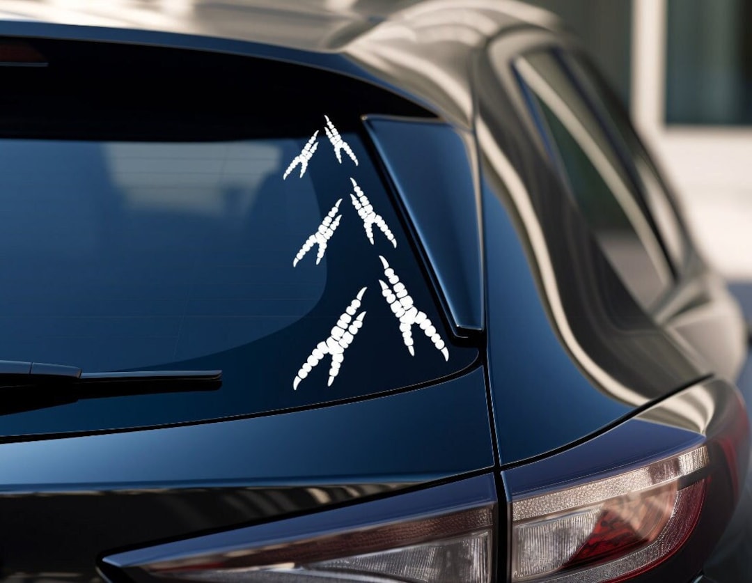 Bird Feet Decal | Talon Talons| Zygodactyl Prints - Vinyl Decal - Etsy