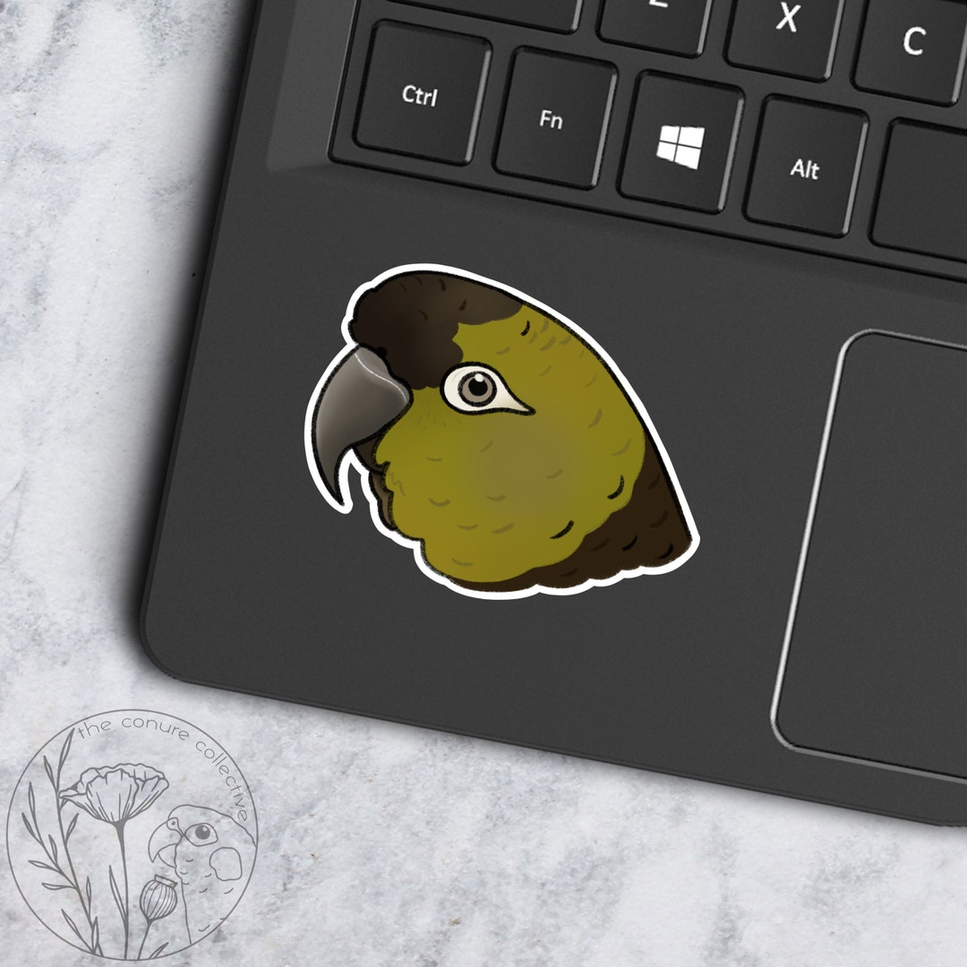 Patagonian Conure Head Vinyl Sticker - Etsy