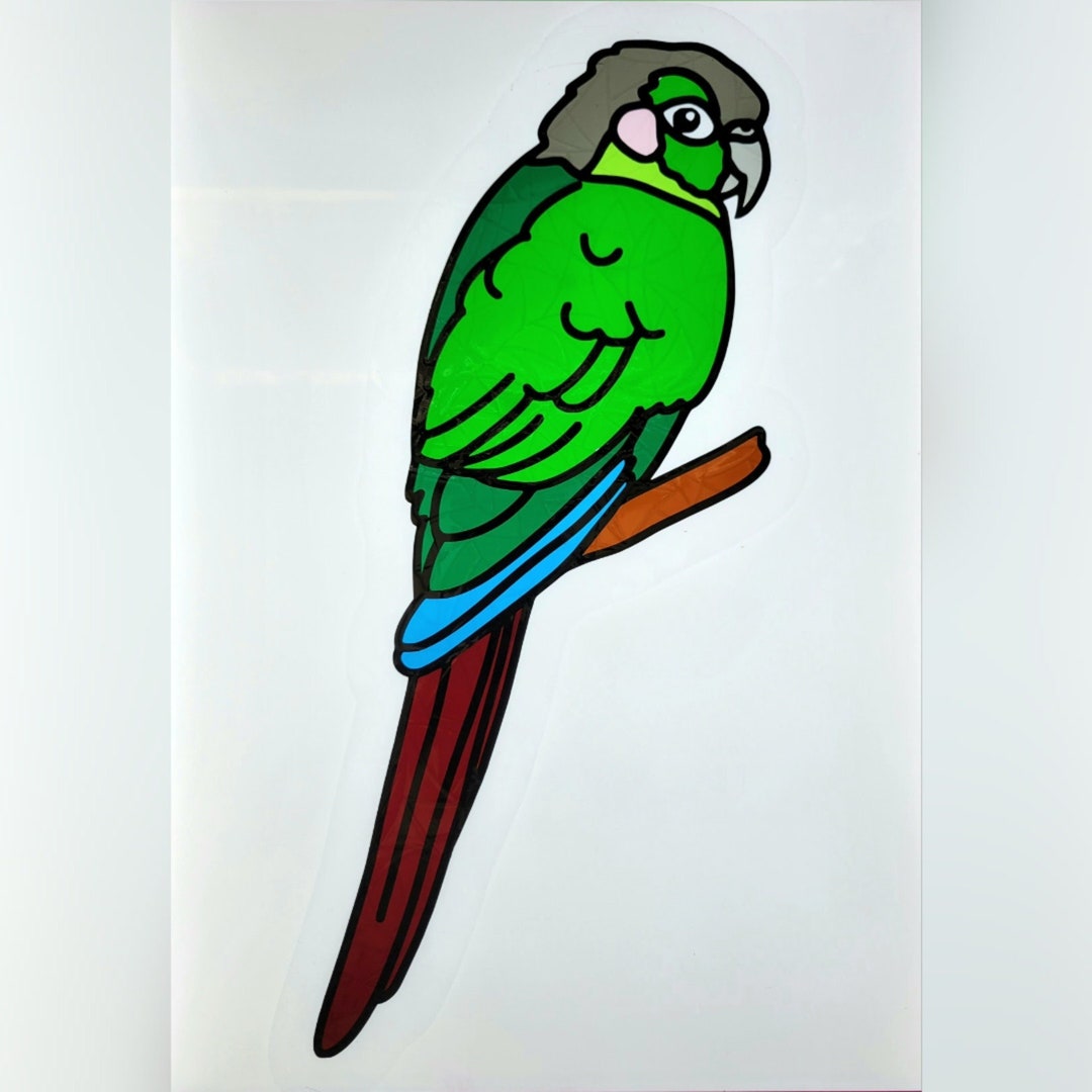 Green Cheek Conure Faux Stained Glass Suncatcher Sticker Suncatcher ...