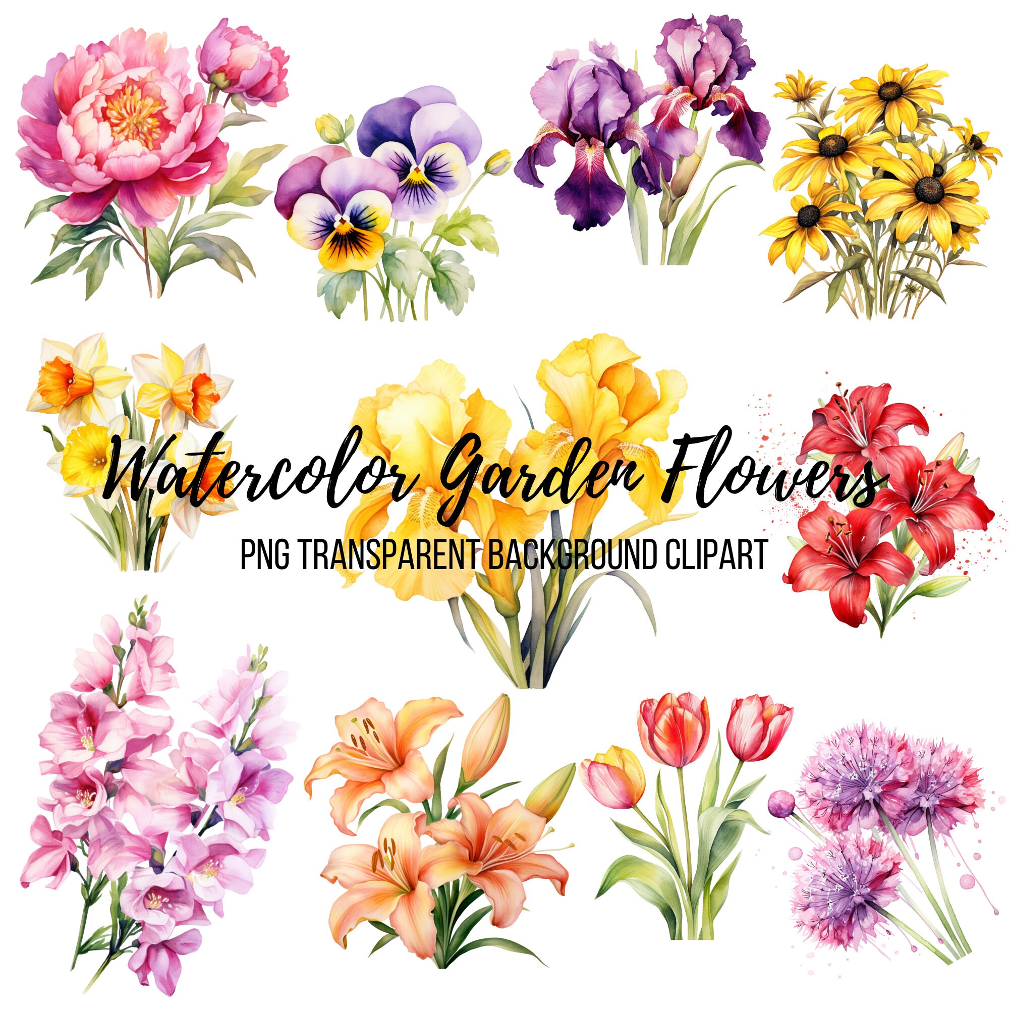 Watercolor Garden Flowers PNG Clipart Wildflower Clip Art PNG Images ...