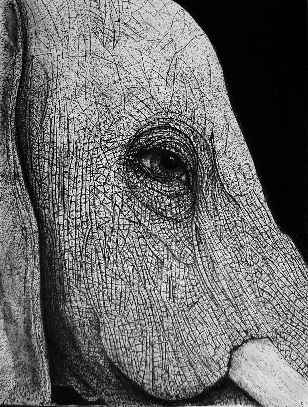 Pen and Ink Elephant - Etsy