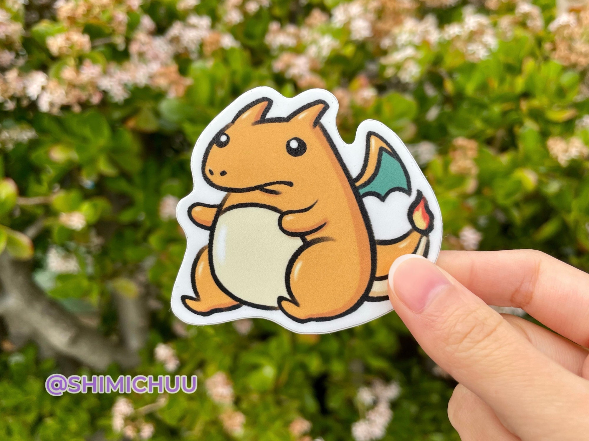 Derpy Charizard Sticker Matte Chonkizard - Etsy