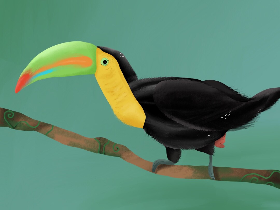 Toucan Digital Download - Etsy
