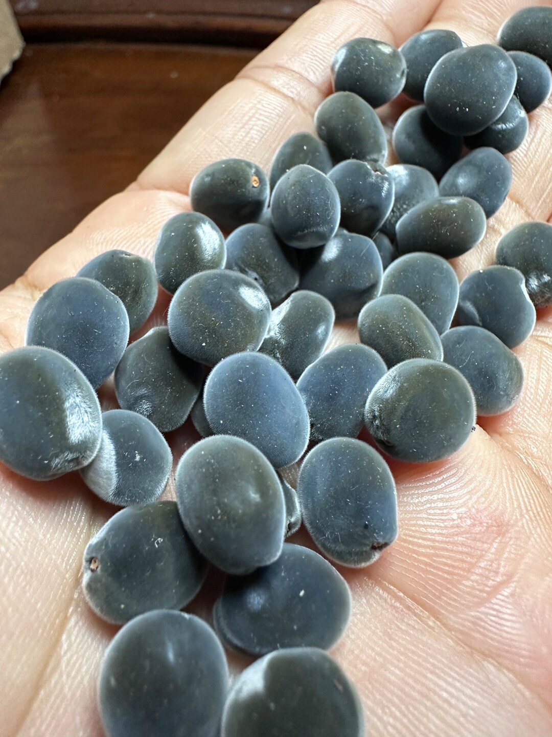30 Weleweka Velvet Seeds for Lei & Jewelry Making - Etsy