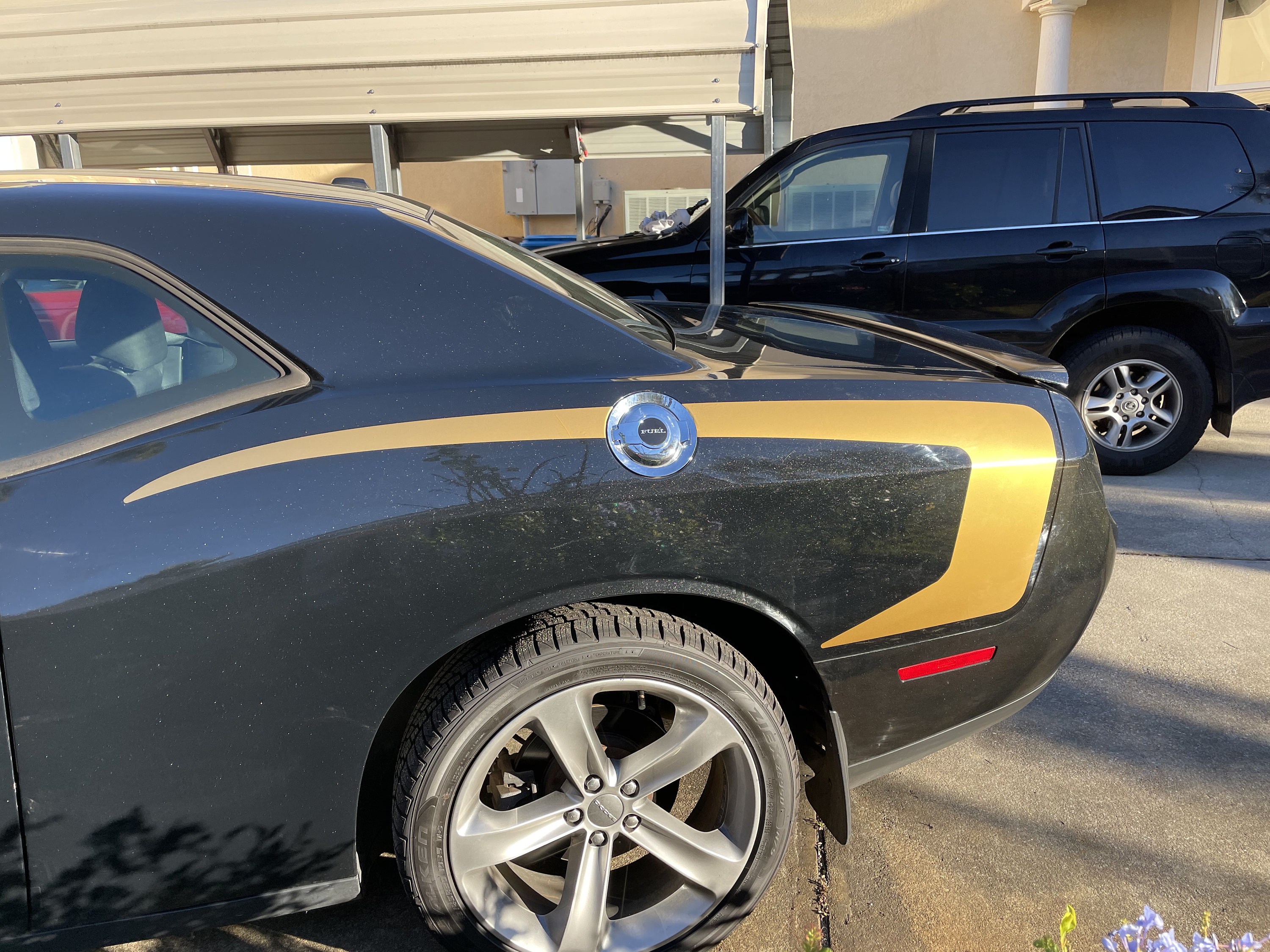 Dodge Challenger Rear Quarter Panel C Stripes Band Fit 2010-2021 (15 ...