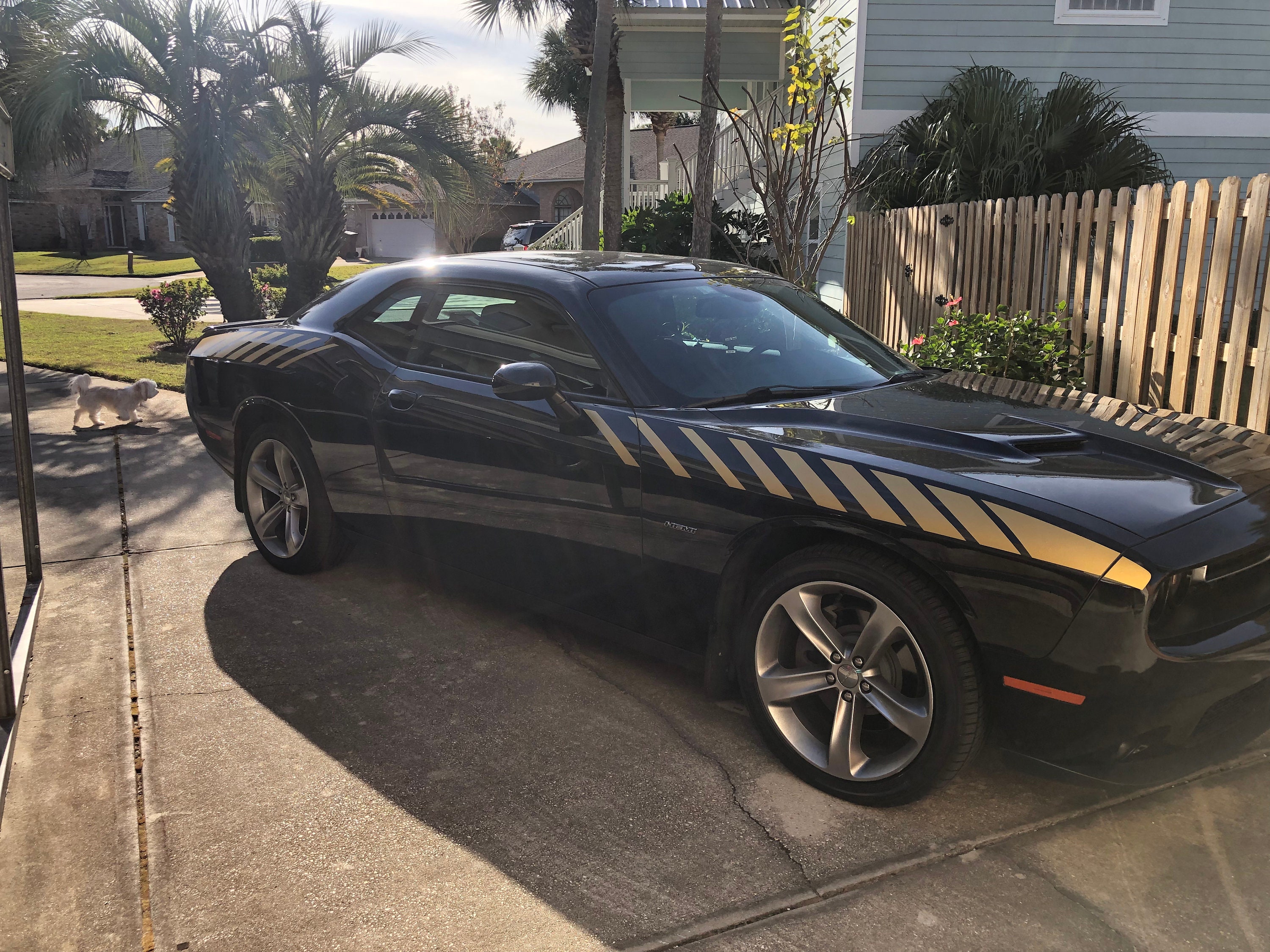 Dodge Challenger Combo Strobe Stripes Front and Back Fit | Etsy