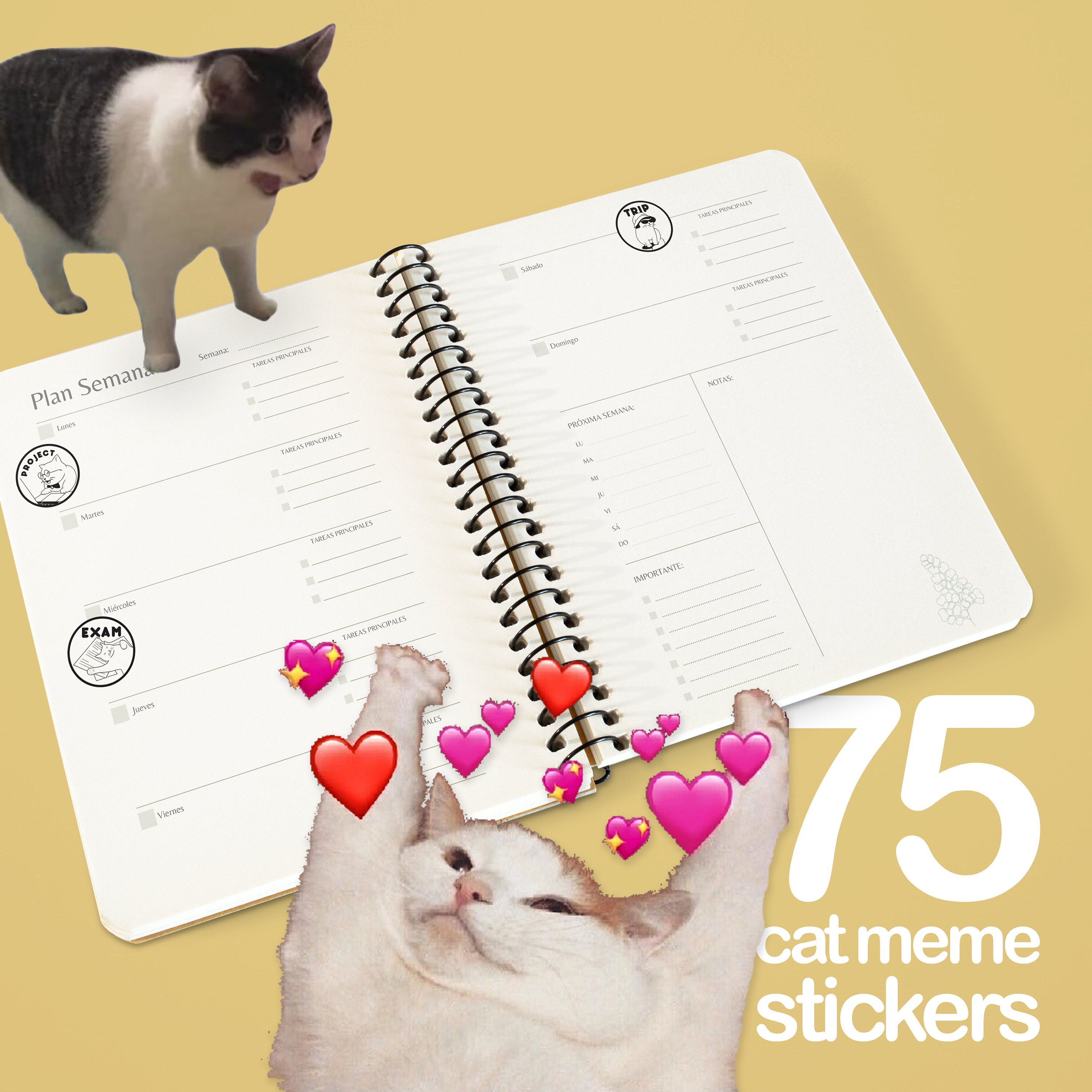 Cat Meme Stickers / Stickers for PLANNERS and AGENDAS / - Etsy