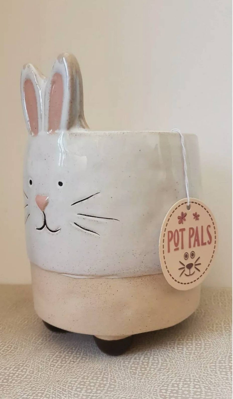 EASTER Bunny Ceramic Planter Rabbit Plant Pot by Pot Pals Gift - Etsy