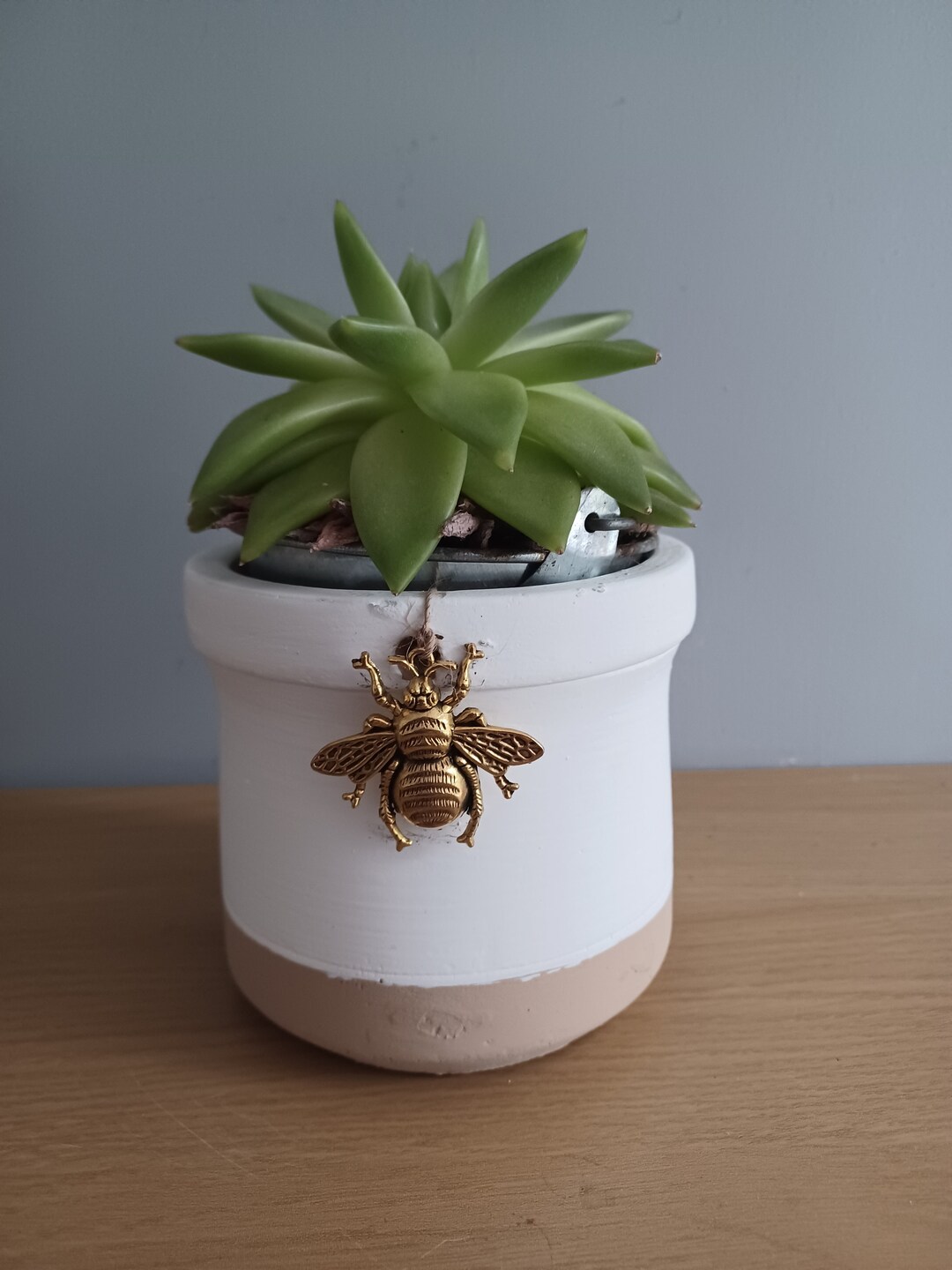 BEE Cement Plant Pot White With Gold Bee Decoration Small 11cm Free UK ...