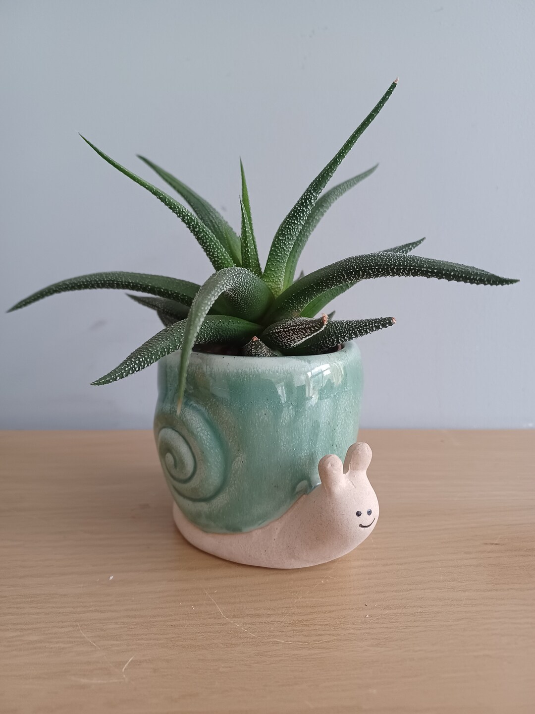 Snail Ceramic Cacti Succullent Plant Pot Gift Ornament SMALL 7.5cm X 9 ...