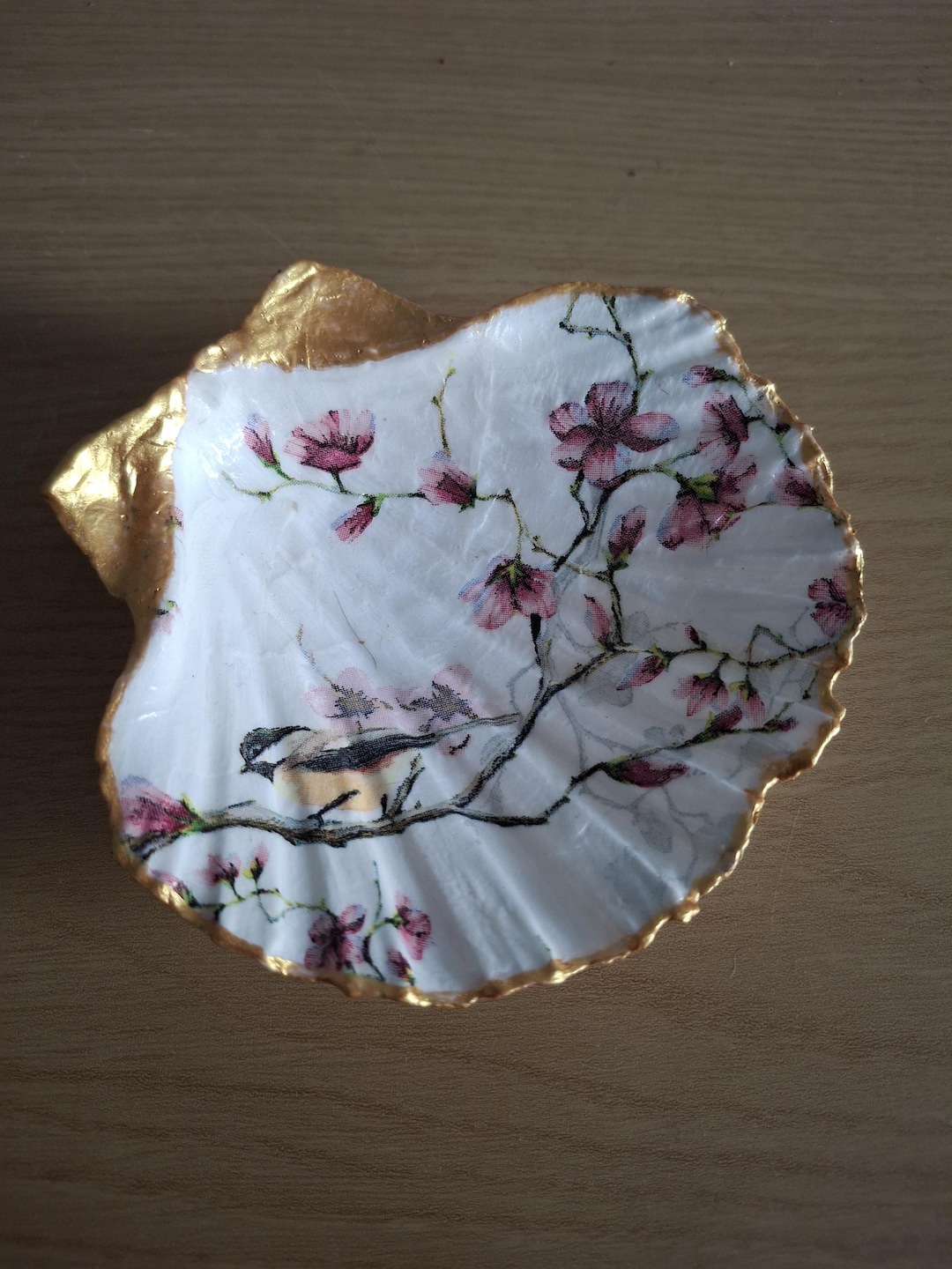 Scollop Shell Trinket Dish BIRD DESIGN 11cm Decouped Varnished Shell ...