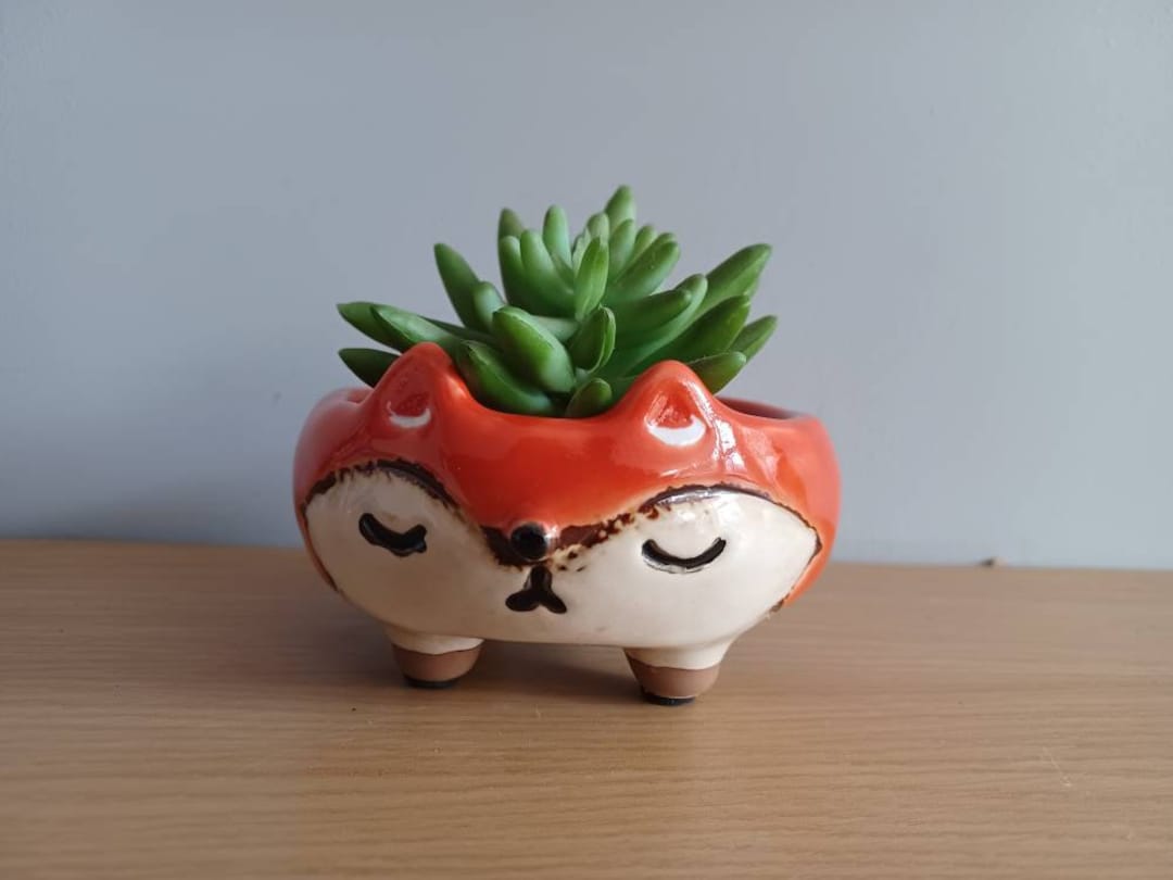 Small FOX Ceramic Pot for Trinkets or Cacti Cute Gift 11cm Diameter ...
