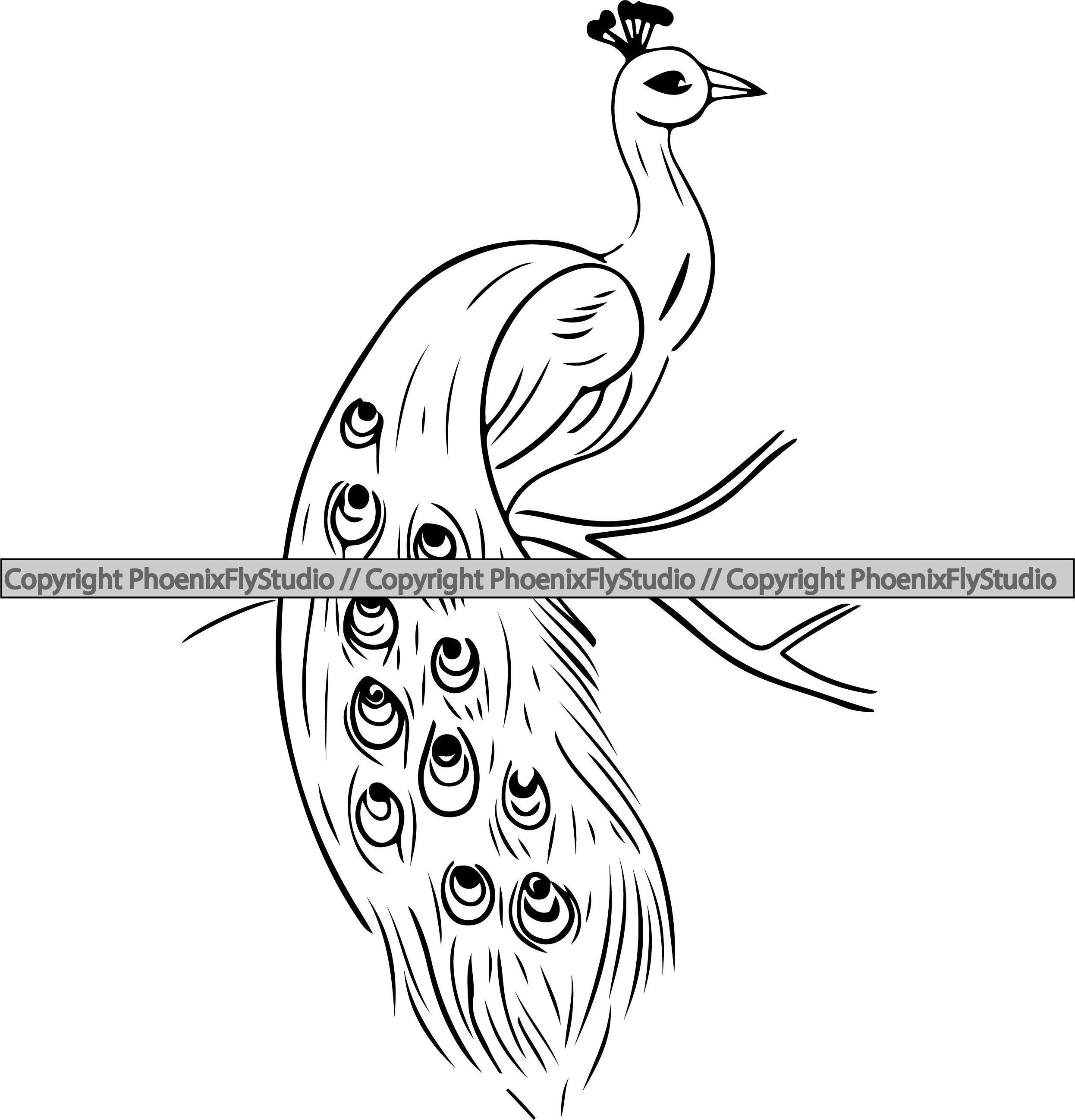 Peacock Animal Simple Outline Line Art Silhouette Design | Etsy