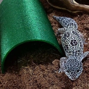 Log Hide for Leopard Geckos | Textured Cave Tunnel House for Bearded ...