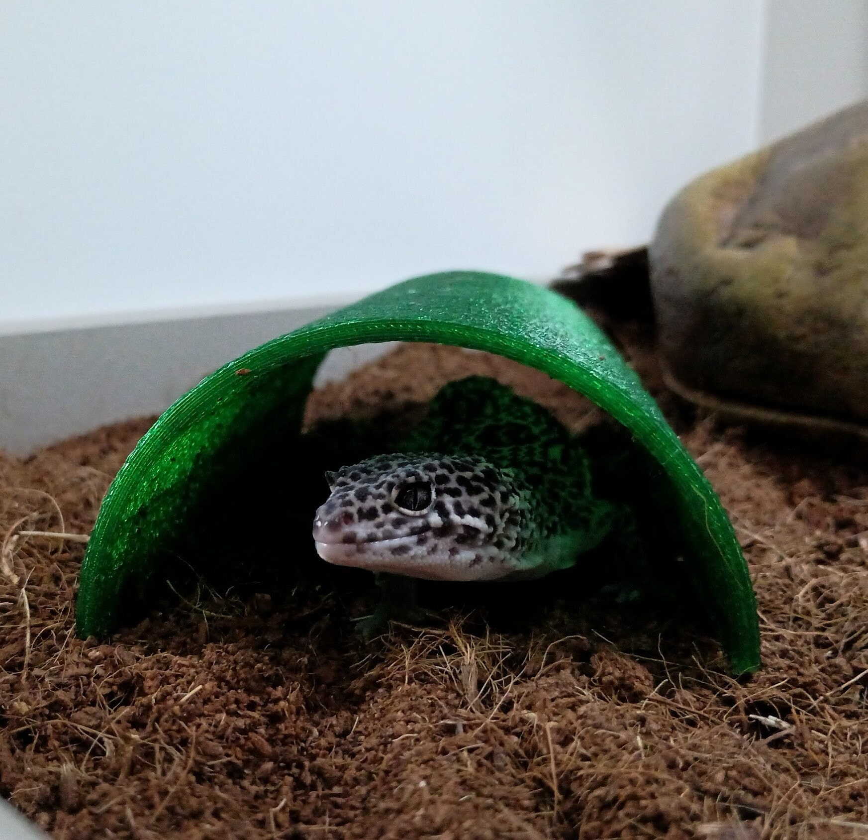 Log Hide for Leopard Geckos | Textured Cave Tunnel House for Bearded ...