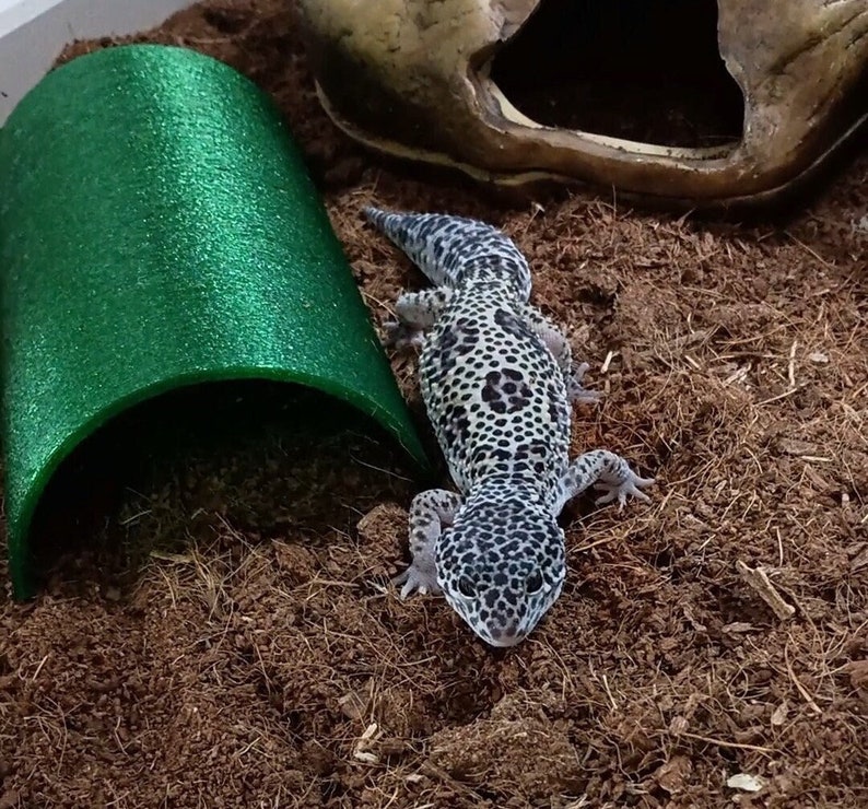 Log Hide for Leopard Geckos | Textured Cave Tunnel House for Bearded ...