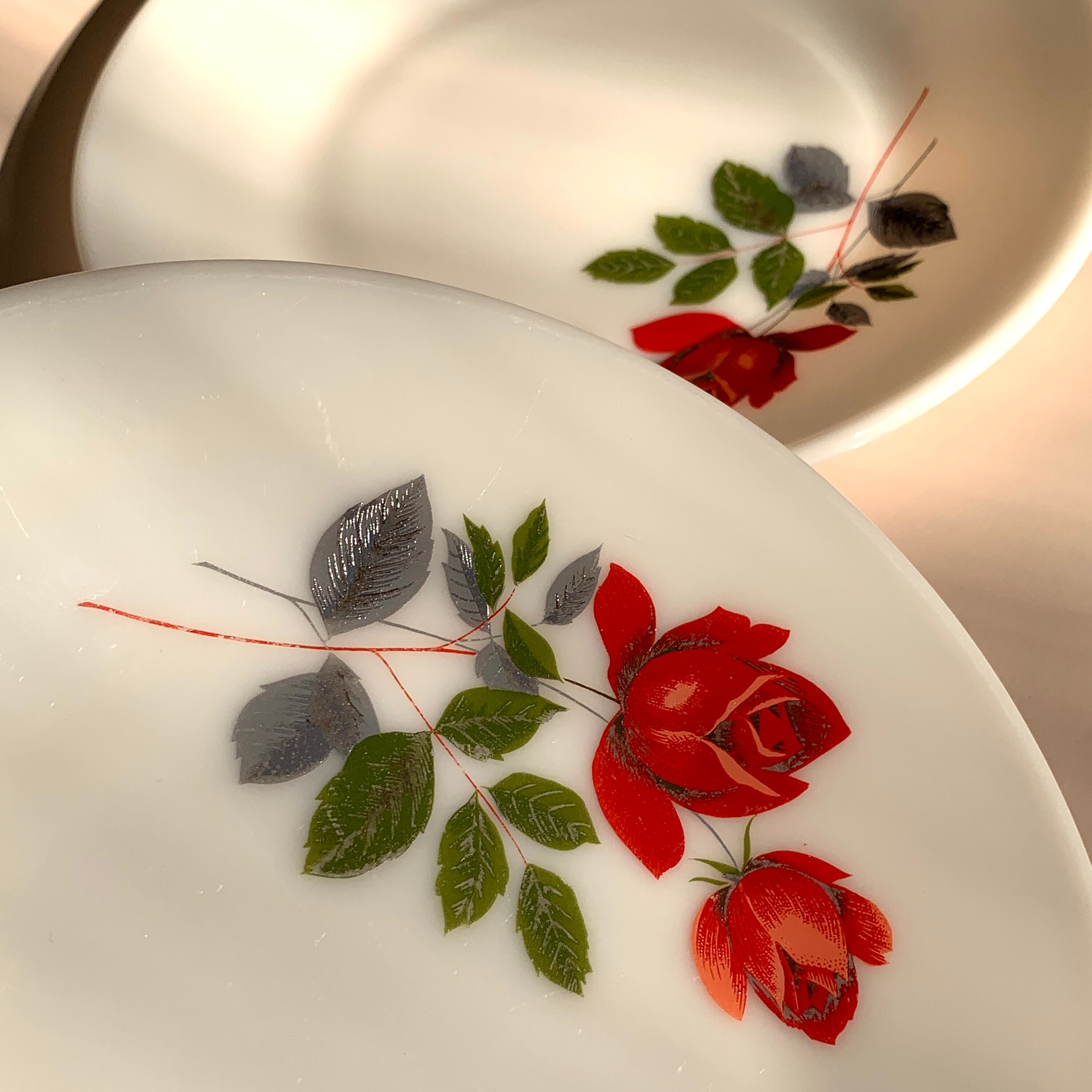 Platos Pyrex June Rose Vintage 21cm. Vaso de leche retro JAJ Pyrex ...