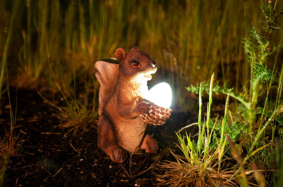 Solar Powered Squirrel Light LED Garden Ornament Outdoor | Etsy