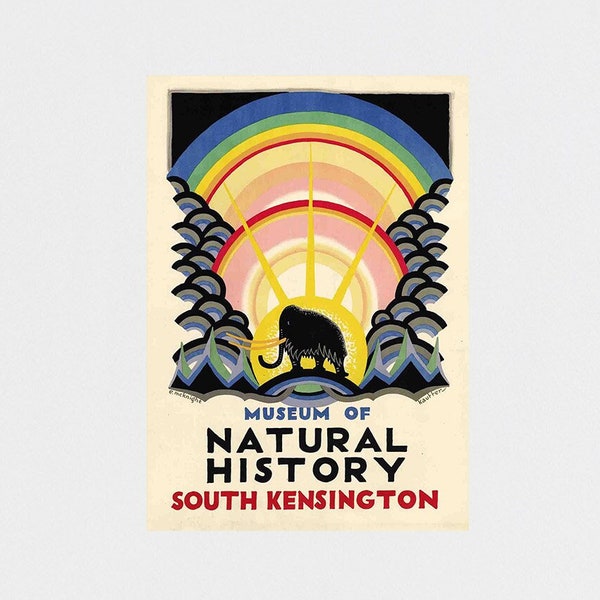 1920s Nature Print - Etsy