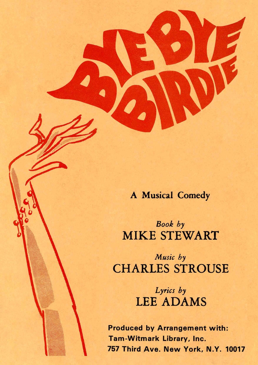 Bye Bye Birdie Musical POSTER PRINT A5-A1 Classic 60s Broadway Stage ...