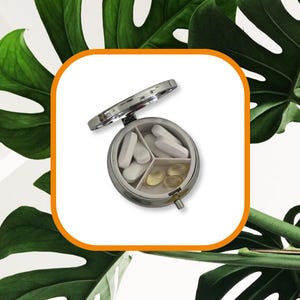 Art Nouveau Pill Box Flowers Bird Design, Vintage Style Medicine Case ...