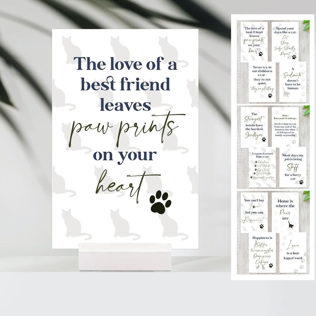 12 Cat Quotes Card Set, Cat Lover Notecard Set, Gifts for Cat Lovers ...