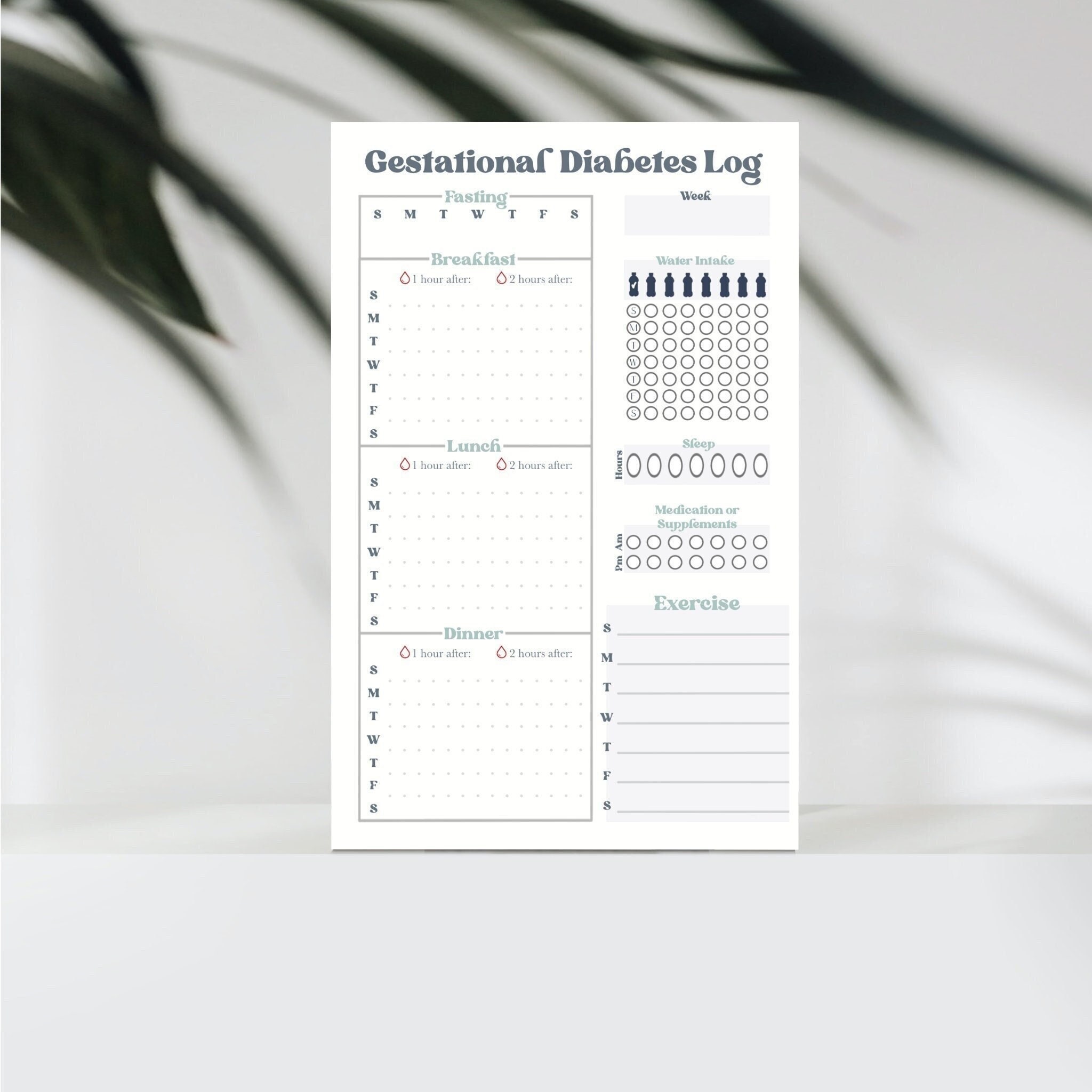 Gestational Diabetes Log, Blood Sugar Log, Fasting Blood Glucose ...