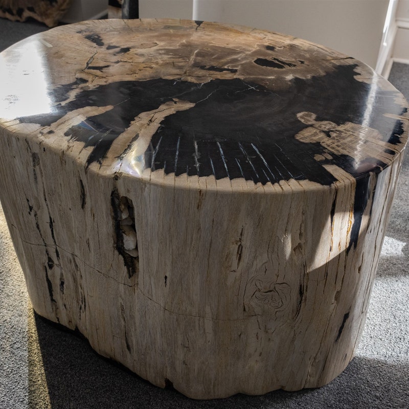 Stump Coffee Table - Etsy