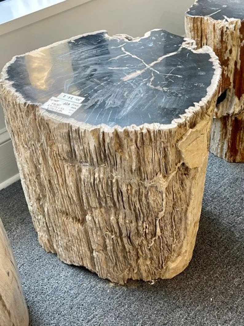 Natural Bark & Top Polish Stump - Etsy