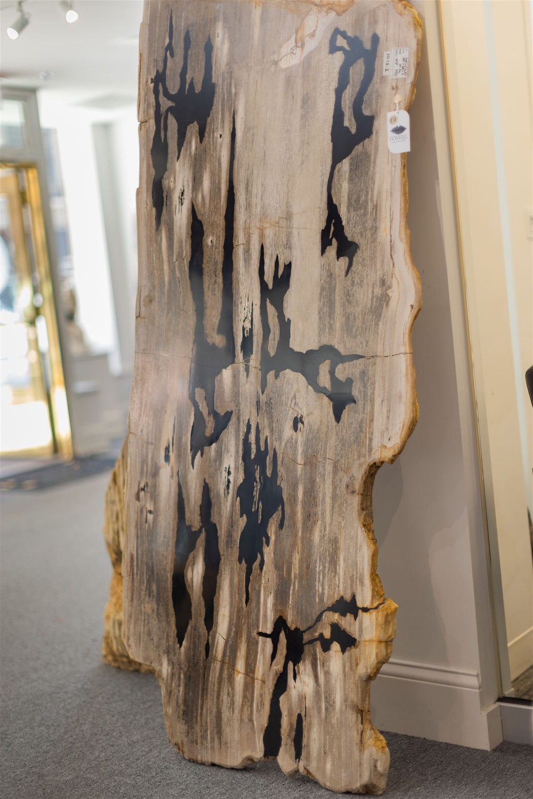 Fossilwood Table / Desk Slab Live Edge - Etsy