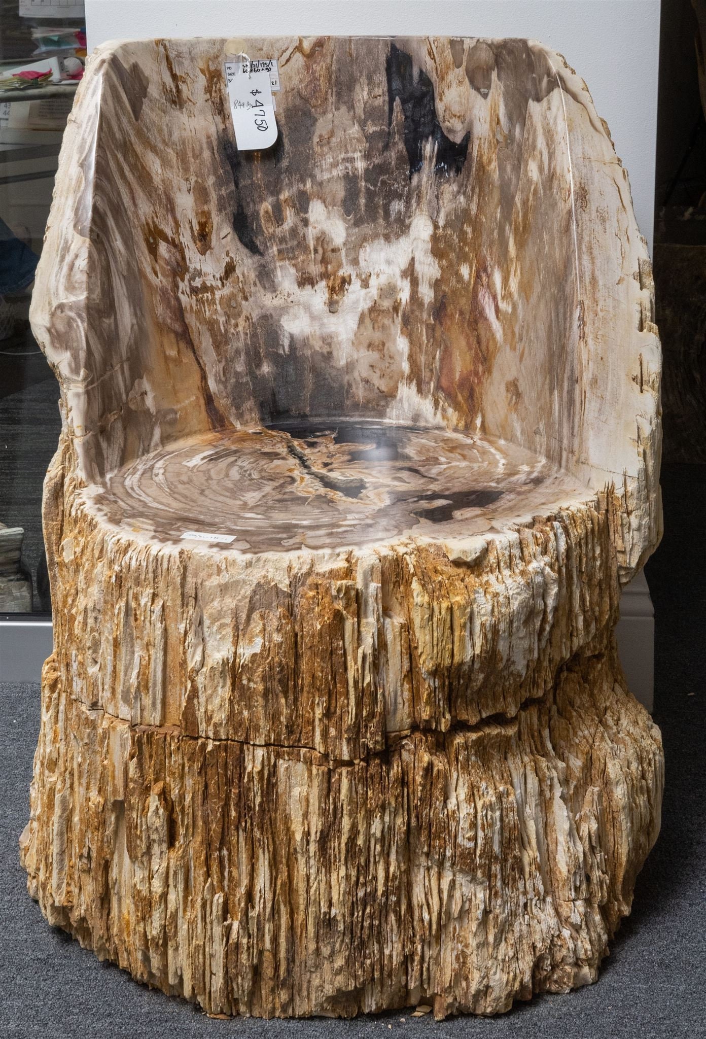 Mesozoic Chair - Etsy