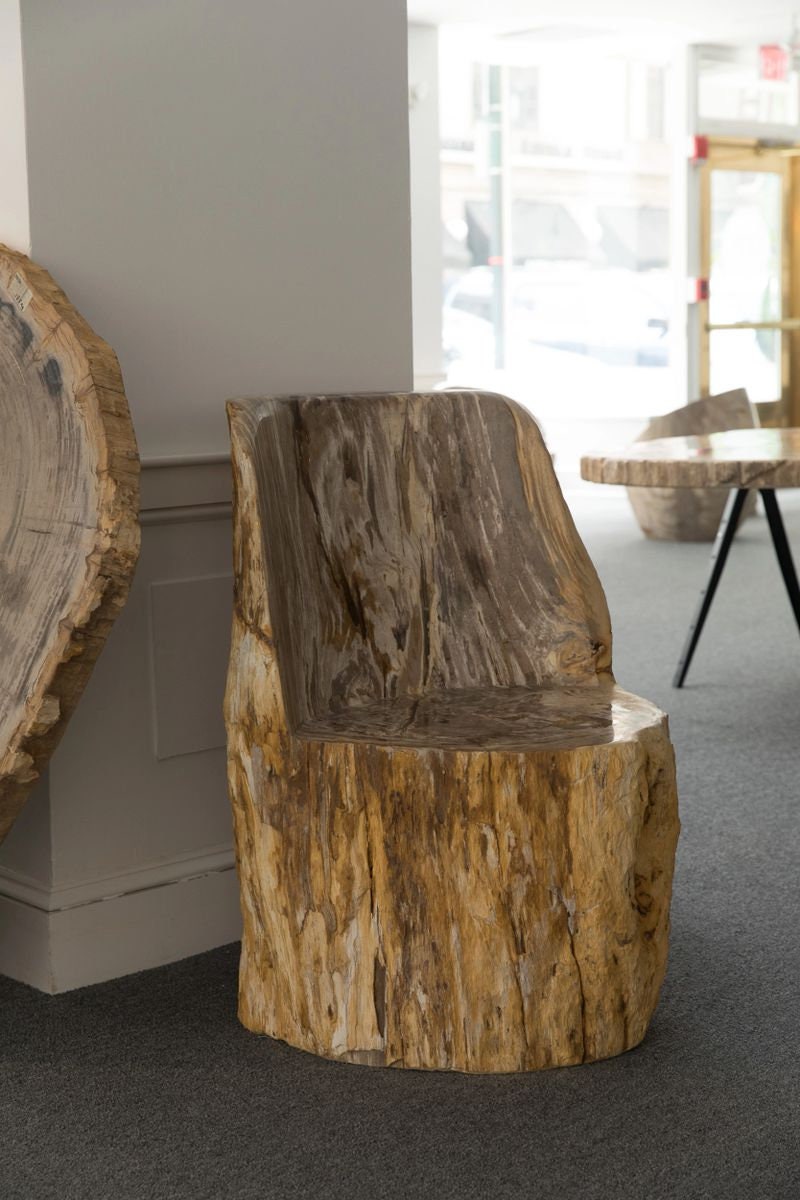 Mesozoic Chair - Etsy