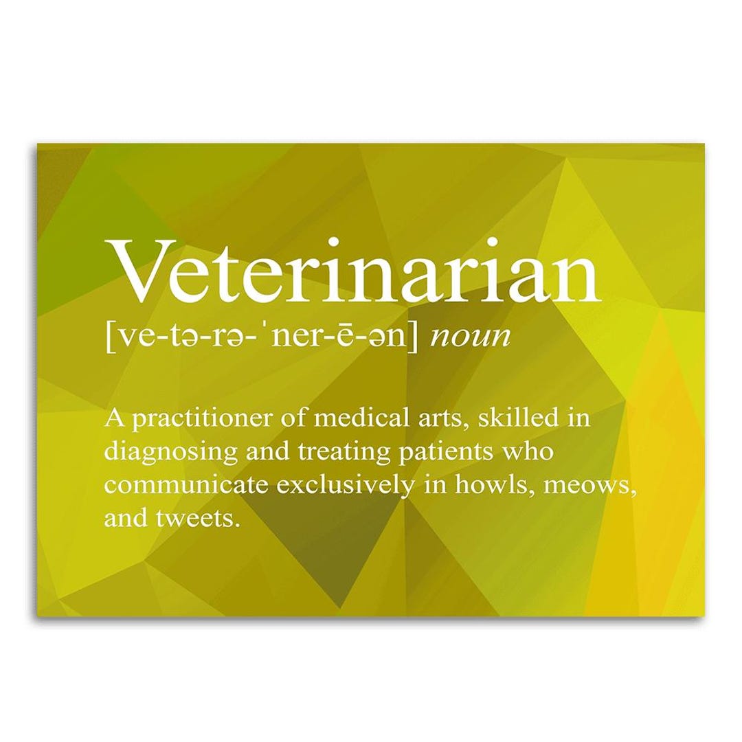 Veterinarian Snarky Definition - Vinyl Sticker - Etsy