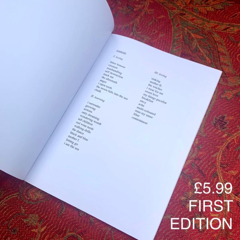 Kiss the Bruises Poetry Book - Etsy