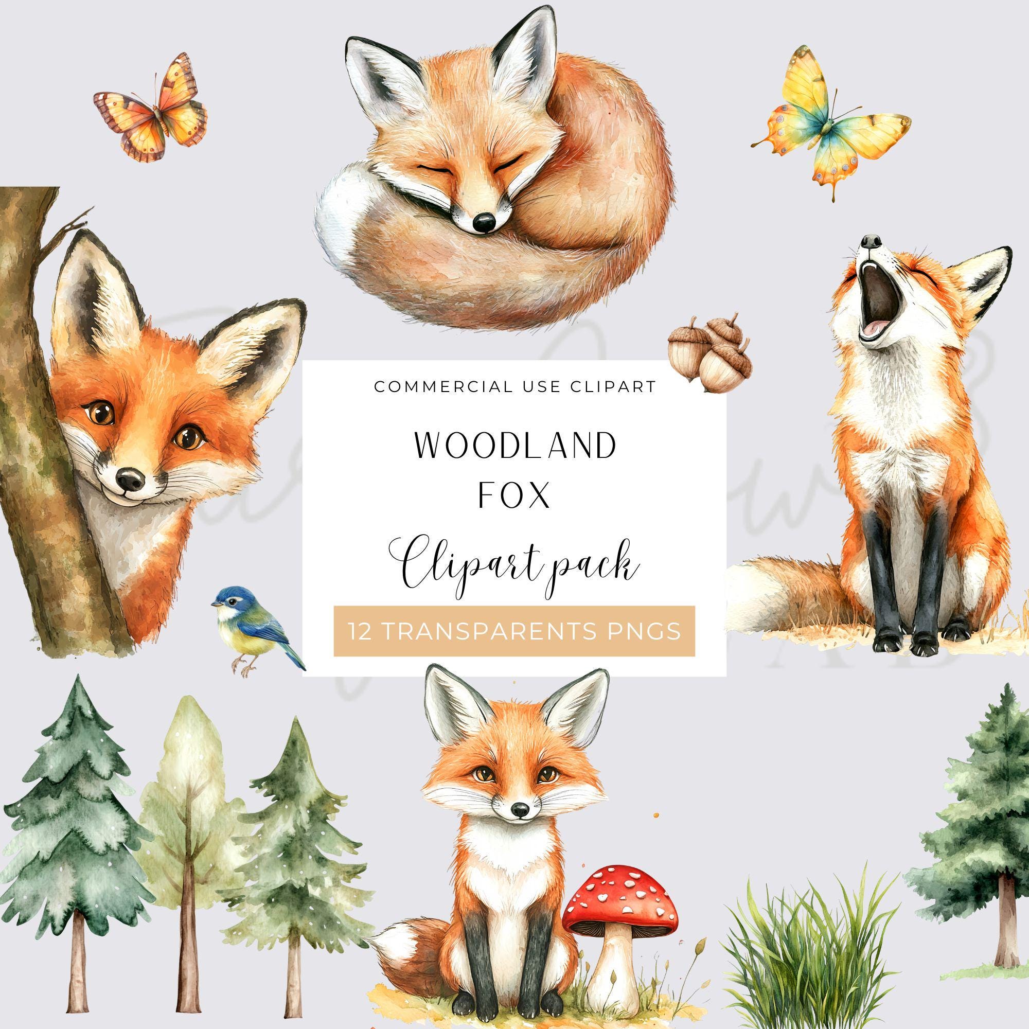 Cute Watercolor Woodland Fox Clipart, PNG, Woodland Animals, Forest ...