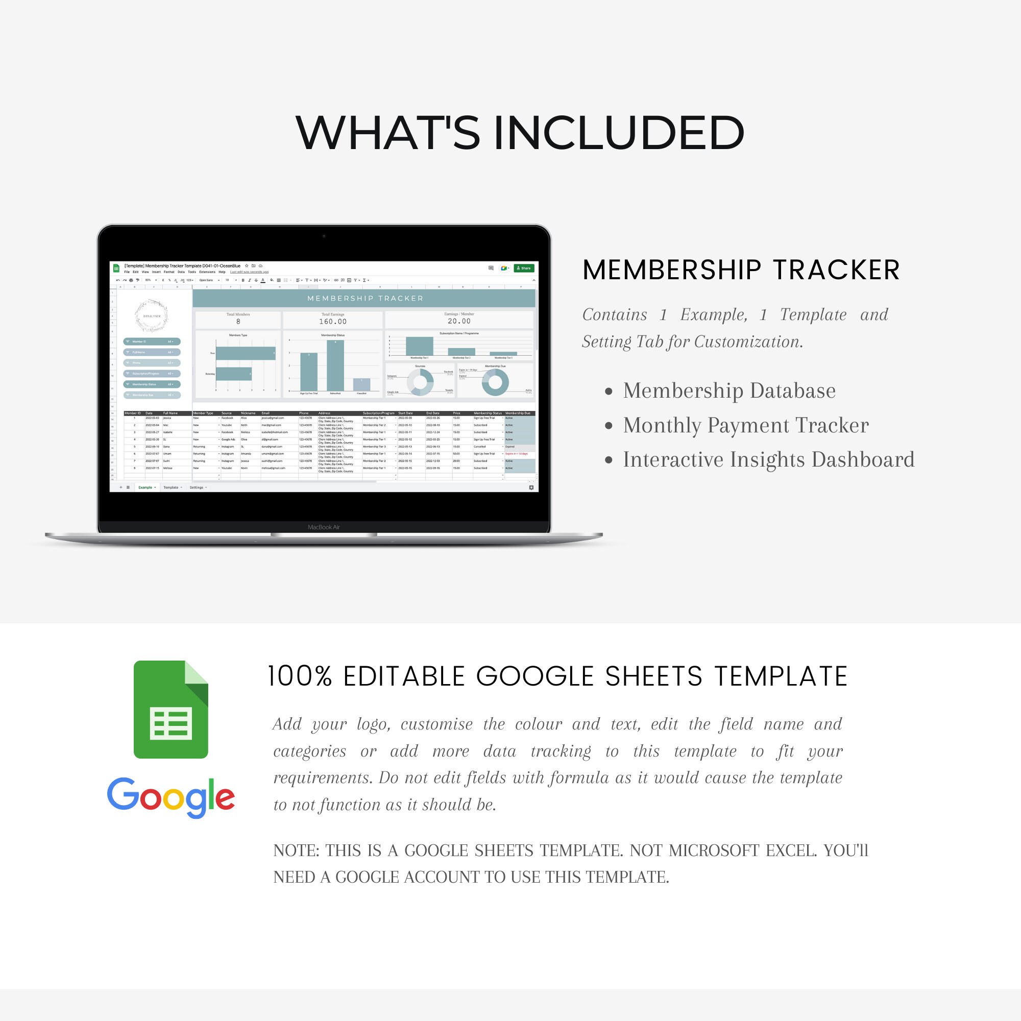 Membership Database + Monthly Payment Tracker for Gym, Fitness ...