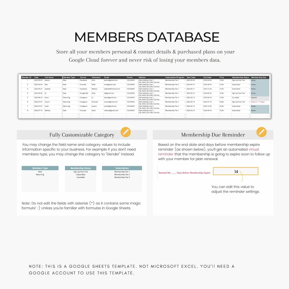 Membership Database Monthly Payment Tracker for Gym, Fitness, Wellness ...