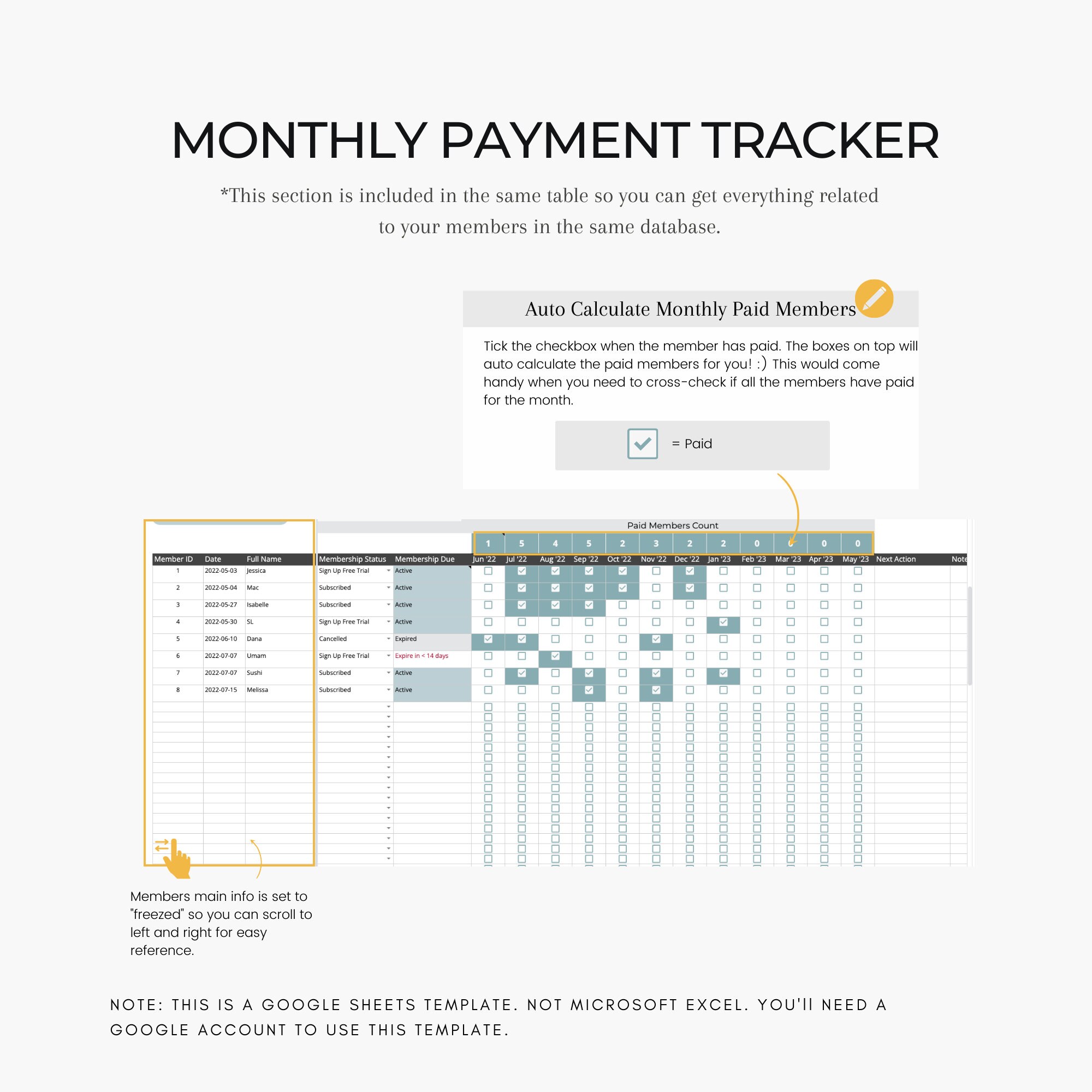 Membership Database Monthly Payment Tracker for Gym, Fitness, Wellness ...