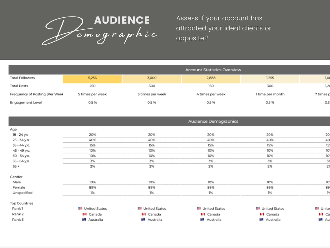 Social Media Audit Template, Client Marketing Audit Report, Self-audit ...