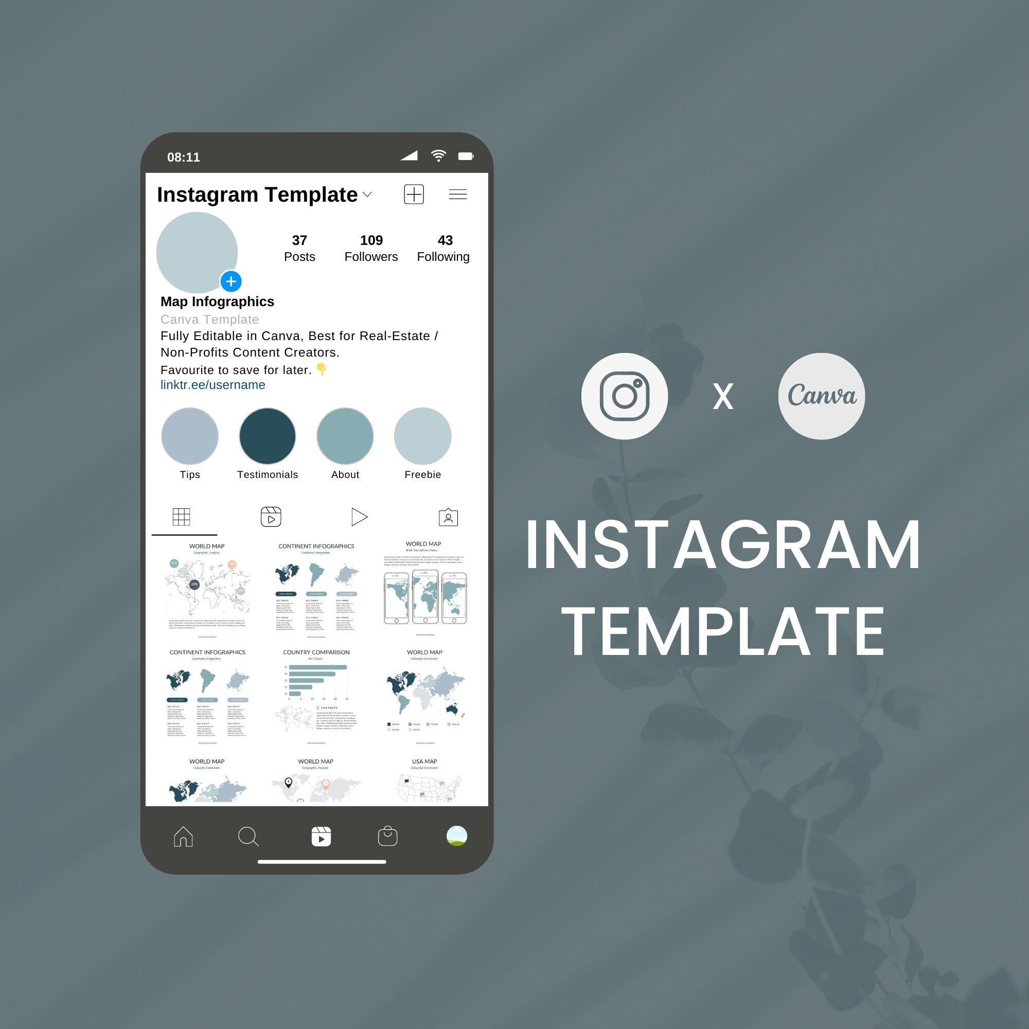 Infographic Creator Canva